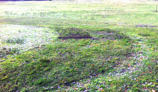Clearing up clay targets with Tow and Collect - US Tow and Collect