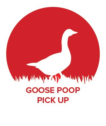 Poop & Dung Collector | Paddock Cleaner - Tow and Collect - US